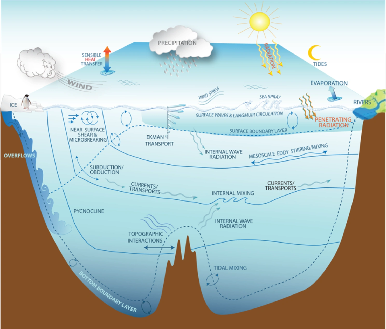 Marine hetebølger | Bjerknes Centre for Climate Research